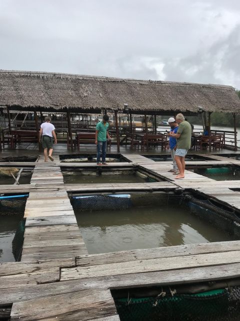 Koh Lanta: Amazon Mangrove Kayaking Tour With Lunch - Who Will Love This Tour?
