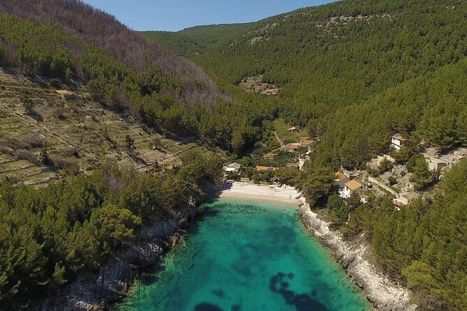 Korcula Island Mountain E Bike Tour - Testimonials From Satisfied Travelers