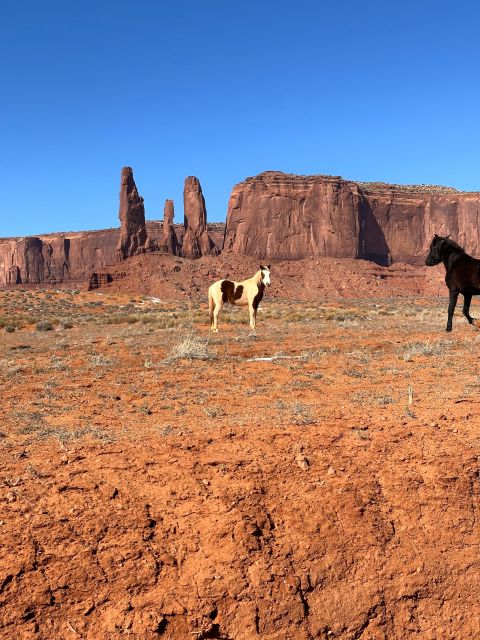 LA: Las Vegas, Sedona, Monument, Antelope Canyon, 5-Day Tour - Who Is This Tour Best For?