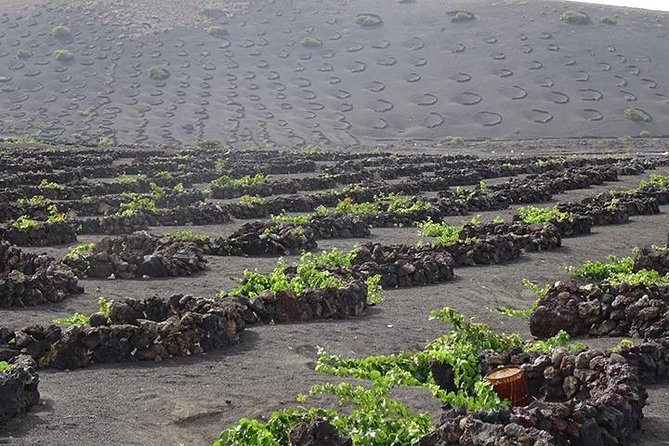 Lanzarote Highlights. Private Tour With Pickup (Price per Vehicle, Not P.P.) - Customer Feedback and Reviews