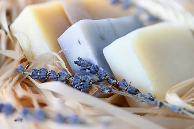 Lavender Route - Small-Group Day Trip From Avignon - Comfortable Transportation and Accessibility