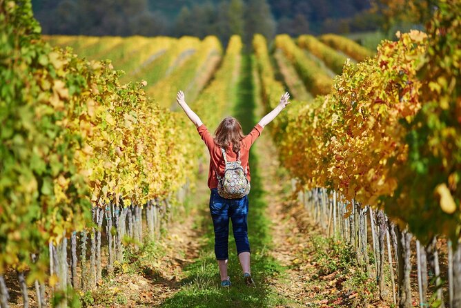 Livorno Shore Excursion: Pisa, Florence and Chianti Wine Private Day Trip - What to Expect: Tour Details and Inclusions