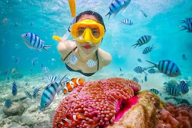 Lombok Pink Beach Boat Trip (Full Day + Snorkeling) - FAQ
