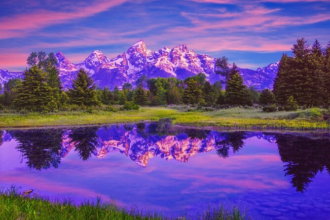 Luxury Private Half-Day Grand Teton National Park Tour - Wildlife Sightings