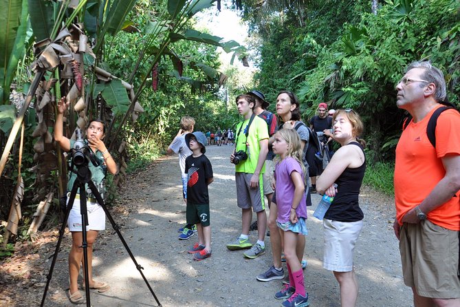 Manuel Antonio National Park Hiking Tour From Jacó - Exploring Tropical Rainforests and Coastlines