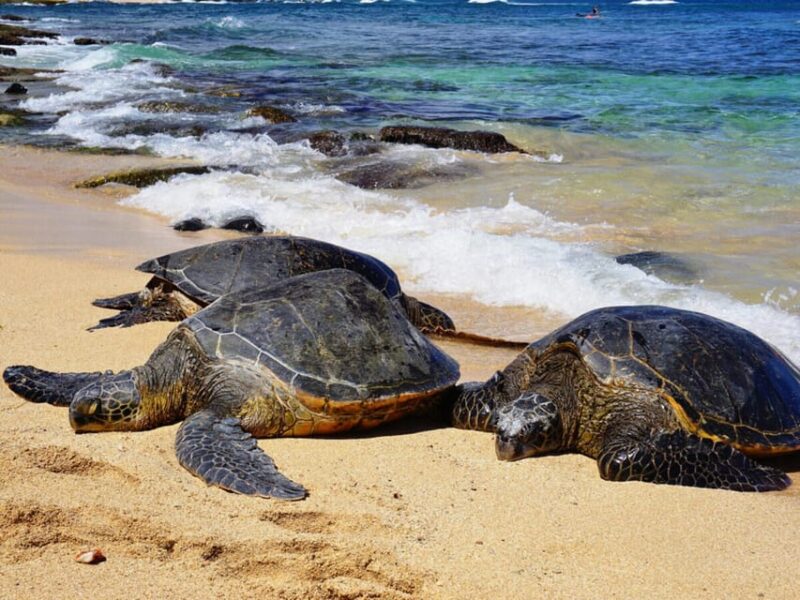 Maui: Custom Elite Tour with Escalade & Meals - The Itinerary: How It All Comes Together