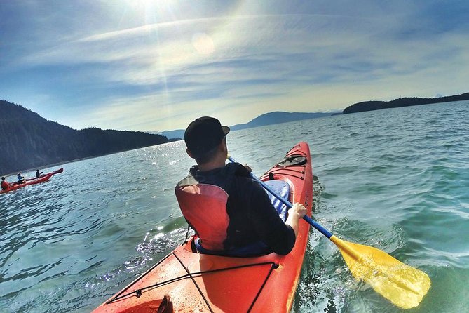 Mendenhall Glacier View Sea Kayaking - Highlights From Guest Reviews