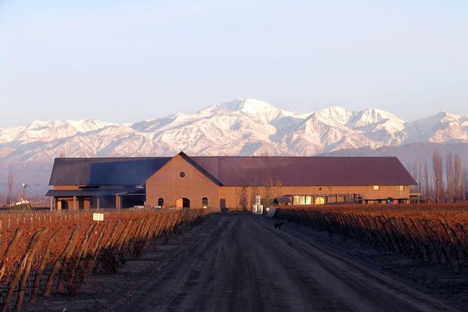 Mendoza Hop-On Hop-Off Wine Tour - Navigating the Hop-On Hop-Off Service
