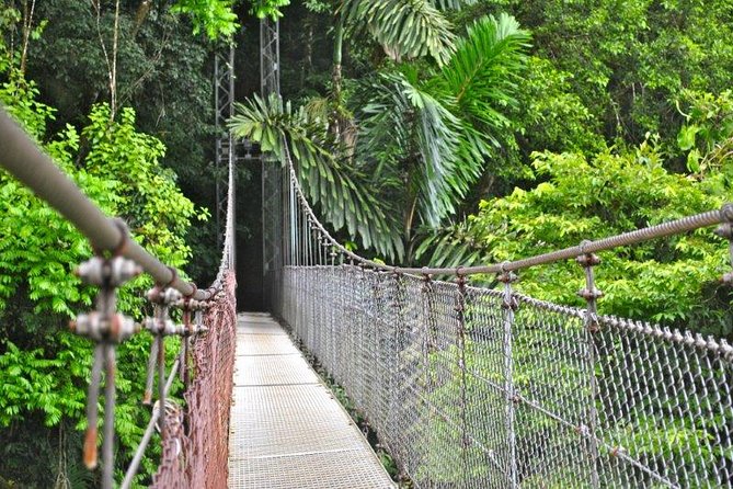 Mistico Hanging Bridges Park From La Fortuna - Positive Traveler Feedback