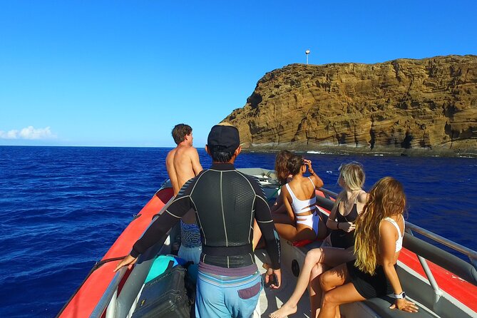 Molokini Crater and Turtle Town Snorkeling From Kihei - FAQs