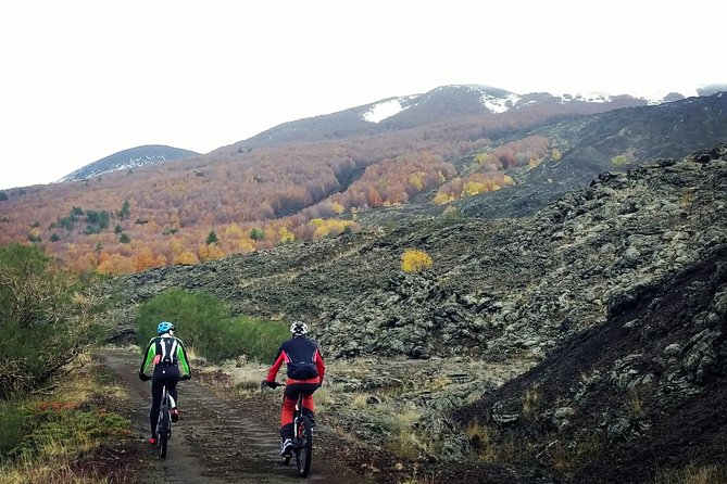 Mount Etna E-Bike Half-Day Tour - Health and Safety Considerations for Participants