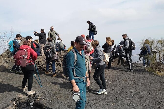 Mount Vesuvius Tour by Bus and Ticket Included From Ercolano - Exploring the Grandeur of Mount Vesuvius
