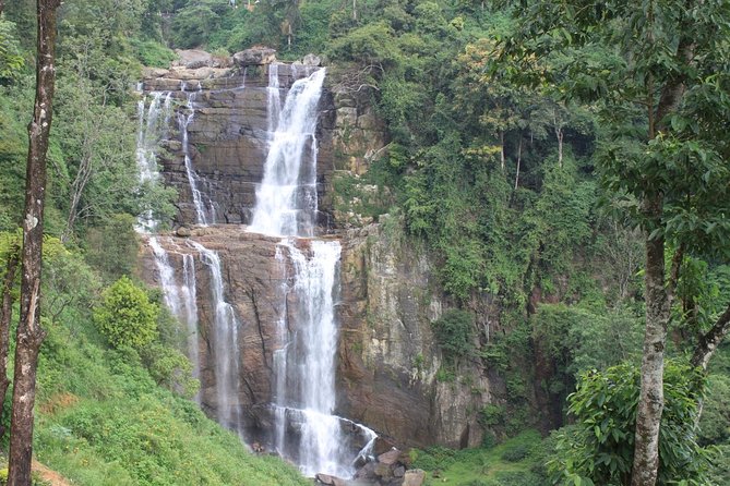 Mr.TukTuk Nuwara Eliya - Who Should Consider This Tour?