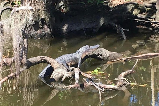 New Orleans Small-Group Airboat Swamp Tour - FAQ