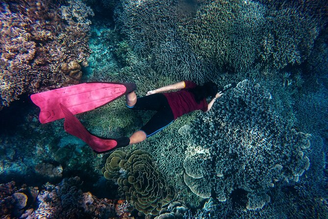Night-Time Snorkel at Turtletown With Stars, Lights, and Photos - Tips for an Unforgettable Experience