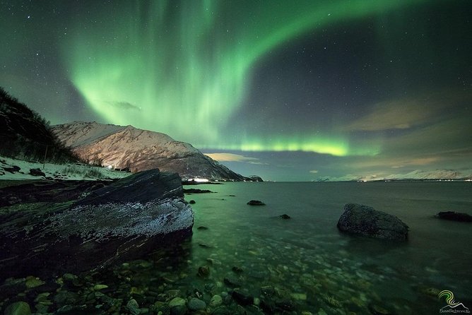 Northern Lights by Minibus. Photos Under the Lights Included. Tromso - Customer Experiences and Feedback