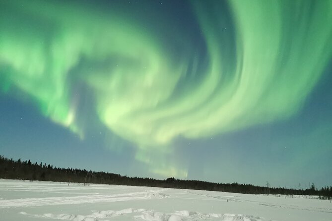 Northern Lights Sledge Ride - Customer Feedback and Recommendations