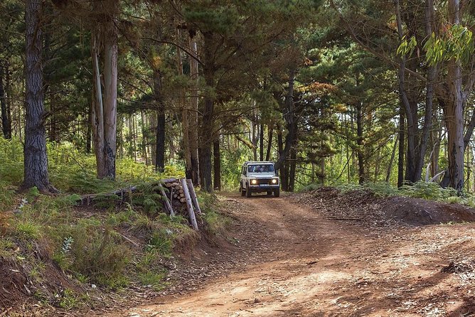 Nuns Valley & Sea Cliff - Half Day Jeep Tours - Participant Guidelines