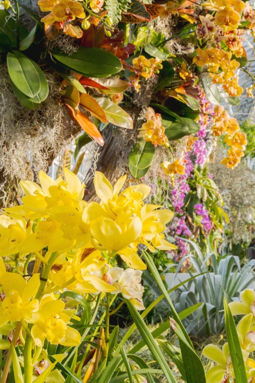 NYC: New York Botanical Garden Pass with Orchid Show Option - Who Will Love This Experience?
