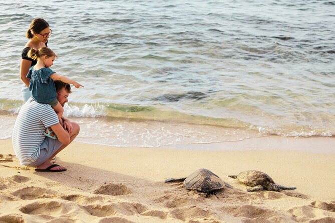 Oahu Premium Quality Tour: Island Highlights in Small Group - Final Word