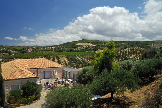 Olive Oil Tasting Tour - Reviews and Feedback