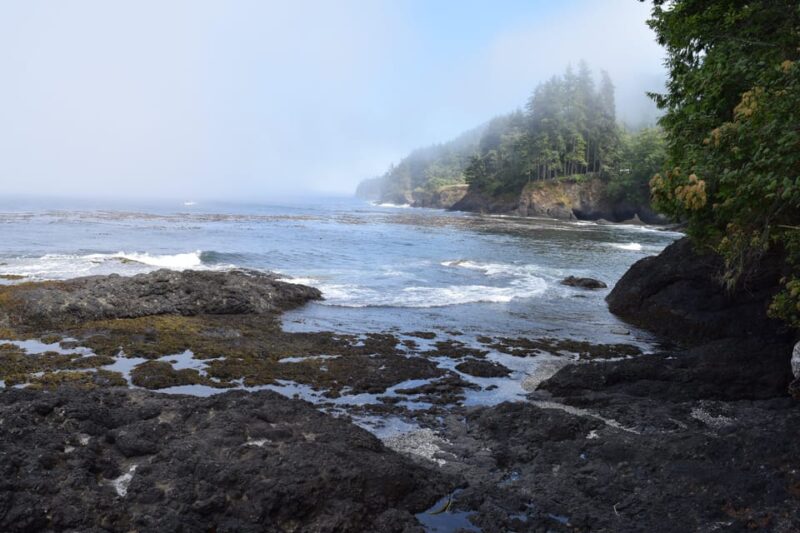 Olympic National Park: Half-Day Tour - Final Thoughts