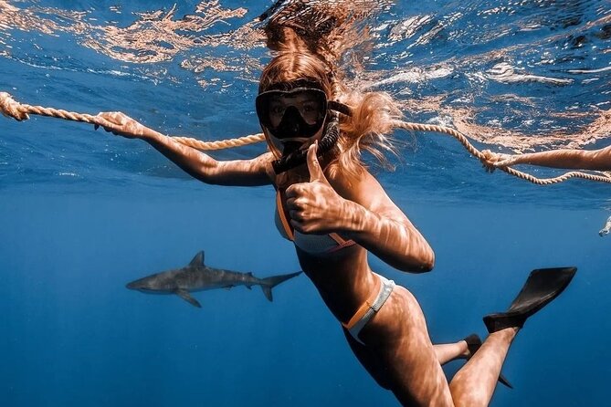 Open Water Shark Dive - Preparing for the Dive