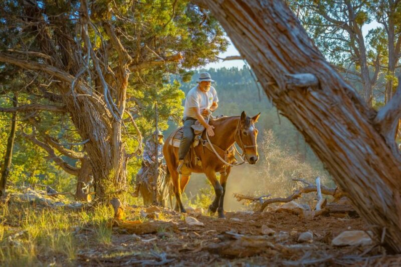 Orderville: Checkerboard Evening Shadow Horseback Ride - The Ride Itinerary in Detail