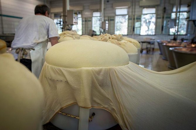 Parmigiano Reggiano Cheese Factory Tour & Tasting Experience - Relishing the Crunchy Ciccioli Delicacy