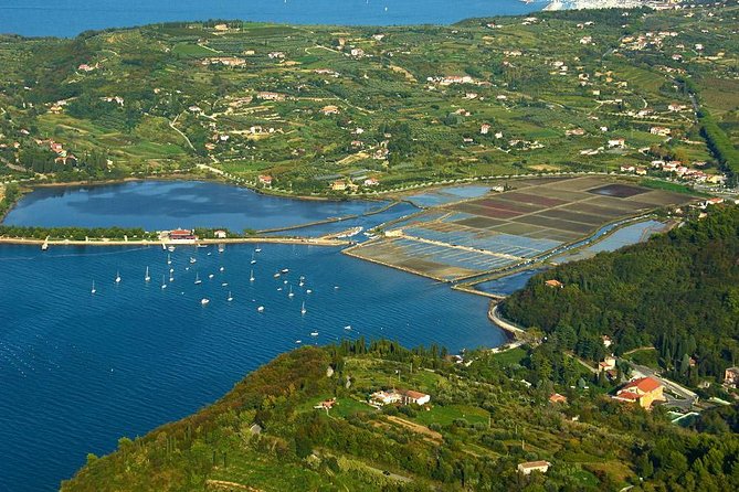 Piran and Scenic Slovenian Coast-Private Experience From Koper - Inclusions, Pricing, and Booking Information