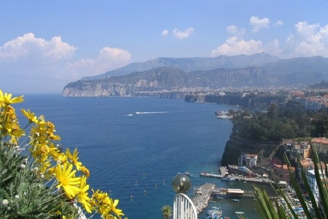 Pompeii and Sorrento Day Trip From Naples - Scenic Views in Sorrento