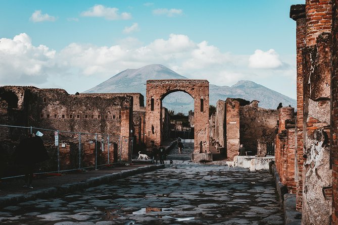 Pompeii Ruins Skip the Line Entrance Tickets With Guided Tour - Cancellation Policy and Booking Information