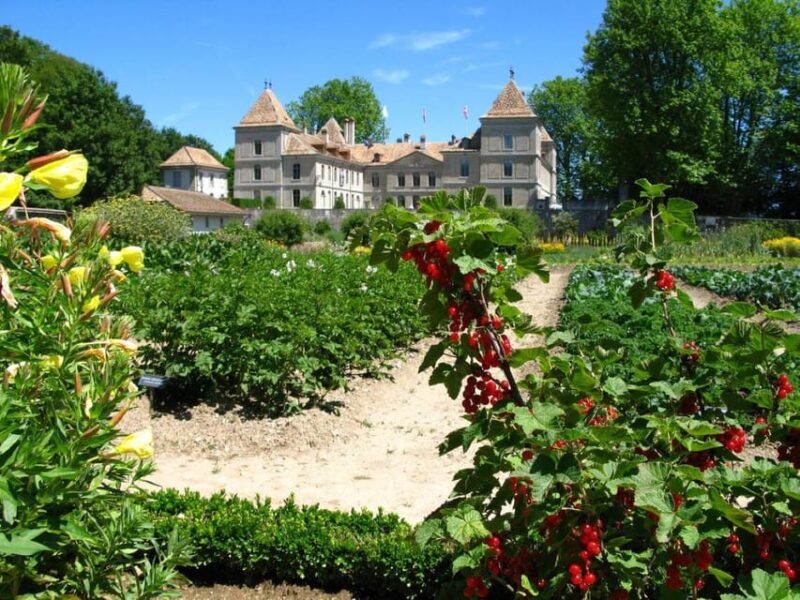 Prangins, Lake Geneva: Château De Prangins Entry Ticket - Visiting the Estate Grounds
