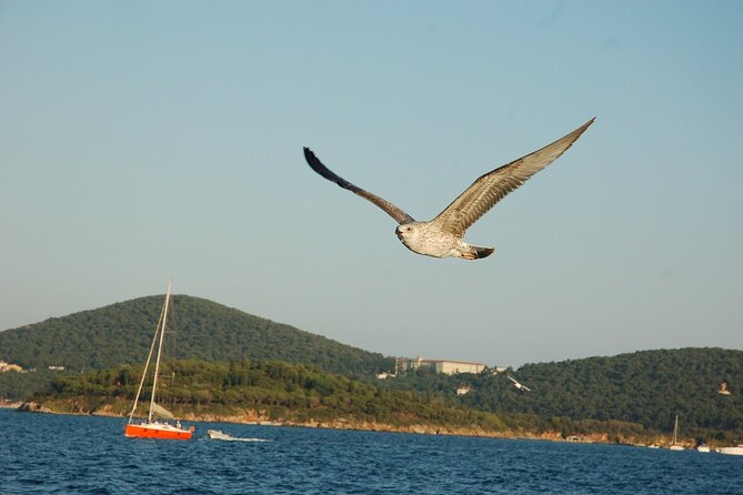 Princes Islands Cruise With Lunch and Transfer Full-Day Tour - Common Issues and Complaints From Customers