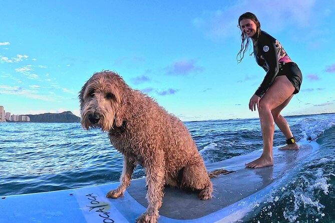 Private 1-On-1 Surf Lesson With Videos and Photos - Additional Features and Benefits