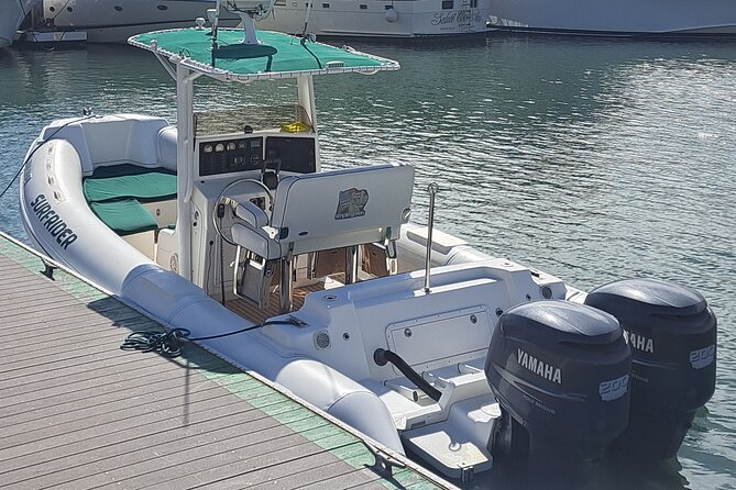 Private Dolphin and Whale Watching Tour in Newport Beach - The Booking Process and Practical Tips