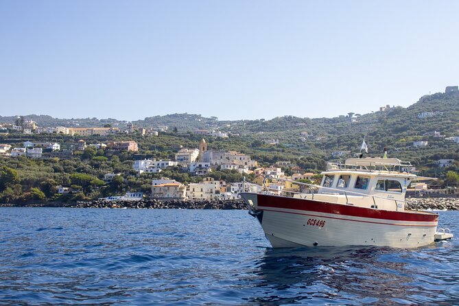 Private Fishing and Capri Tour With Lunch From Sorrento - Accessibility and Participation