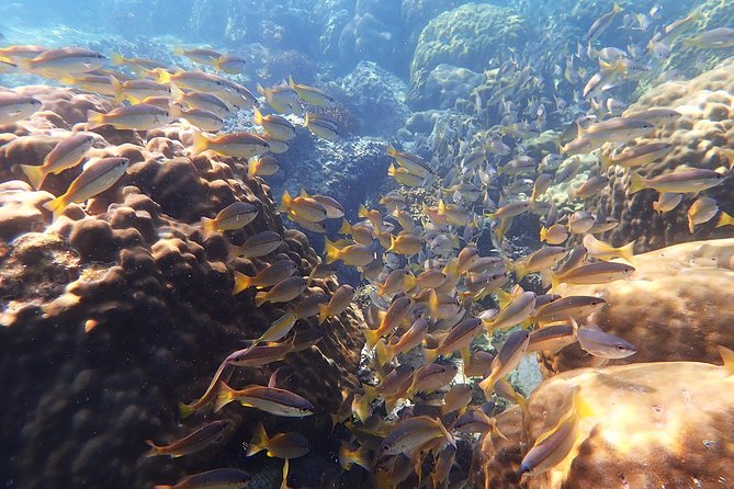 Private Full-Day Red Dragon Yacht to Angthong National Marine Park - FAQ