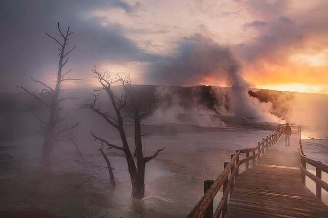 Private Full-Day Yellowstone National Park Tour - Customer Experiences and Testimonials