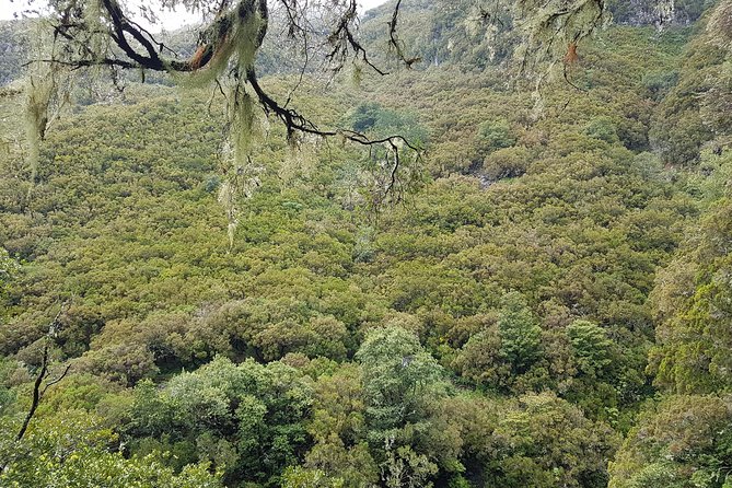 Private Guided Walk Levada 25 Fontes - Cancellation Policy