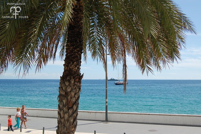 Private Half Day Arrabida Tour With Wine Tasting in Sesimbra - Importance of Certified Tour Guides