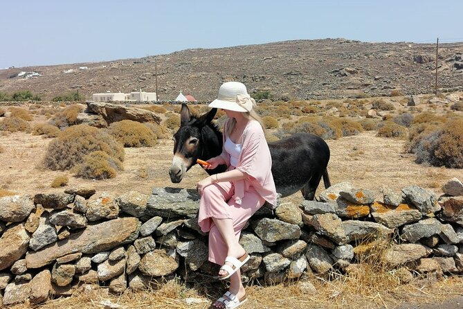 Private Half-Day Mykonos Insider Tour With Pick up - Accessibility Features of the Tour