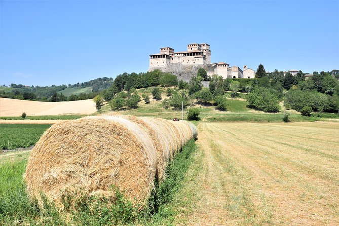 Private Half Day Parma Food Tour: Parmesan Cheese, Parma Ham, Lunch - Private Tour Experience