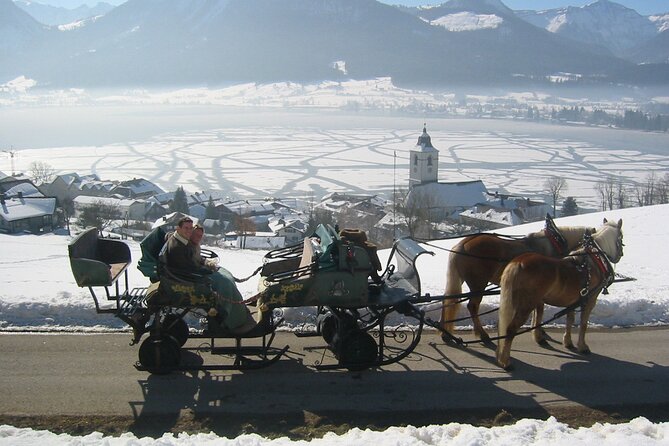Private Horse-Drawn Sleigh Ride From Salzburg - Scenic Beauty of the Salzkammergut Region