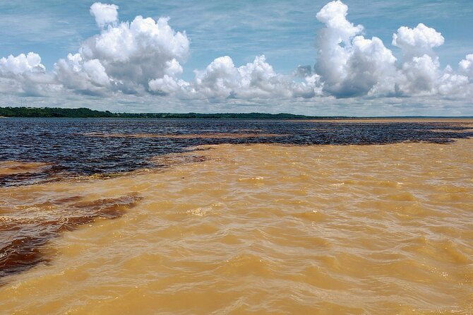 Private River Tour by Speedboat in the Amazon, Lily Pads & Nature - Floating Villages and Mangrove Forests