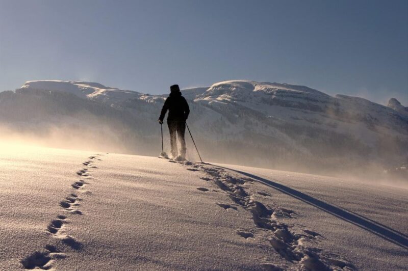 Private Snowshoeing Full Day - Getting There