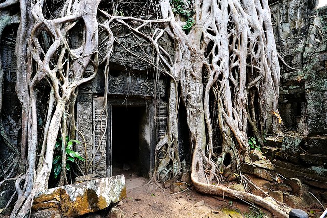 Private Temples Guided Tour (Angkor Wat, Ta Prom & Angkor Thom) - Additional Notes