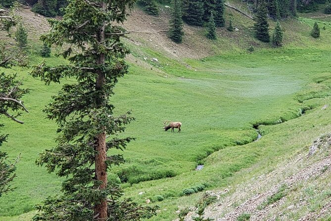 Private Three Hour Afternoon Custom Tour of Rocky Mountain National Park - Pricing and Cancellation Policy