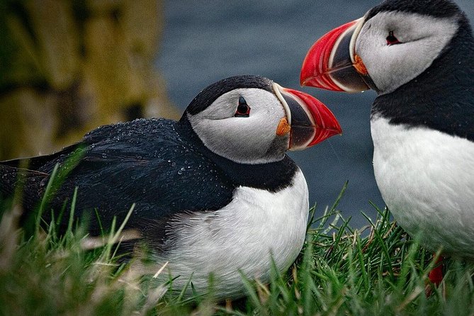 Private Tour: South Coast of Iceland by SUV or Van From Reykjavik - How to Book and What to Expect on the Day of the Tour