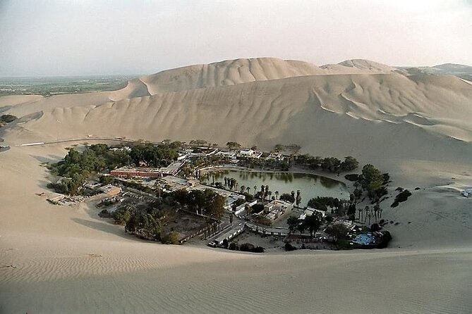 Private Tour to the Astonished Nazca Lines and Huacachina Oasis - Exploring the Art of Winemaking and Pisco